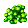 White Grapes - Shroud of the Avatar Wiki - SotA