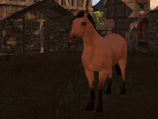 Bay Horse - Shroud of the Avatar Wiki - SotA